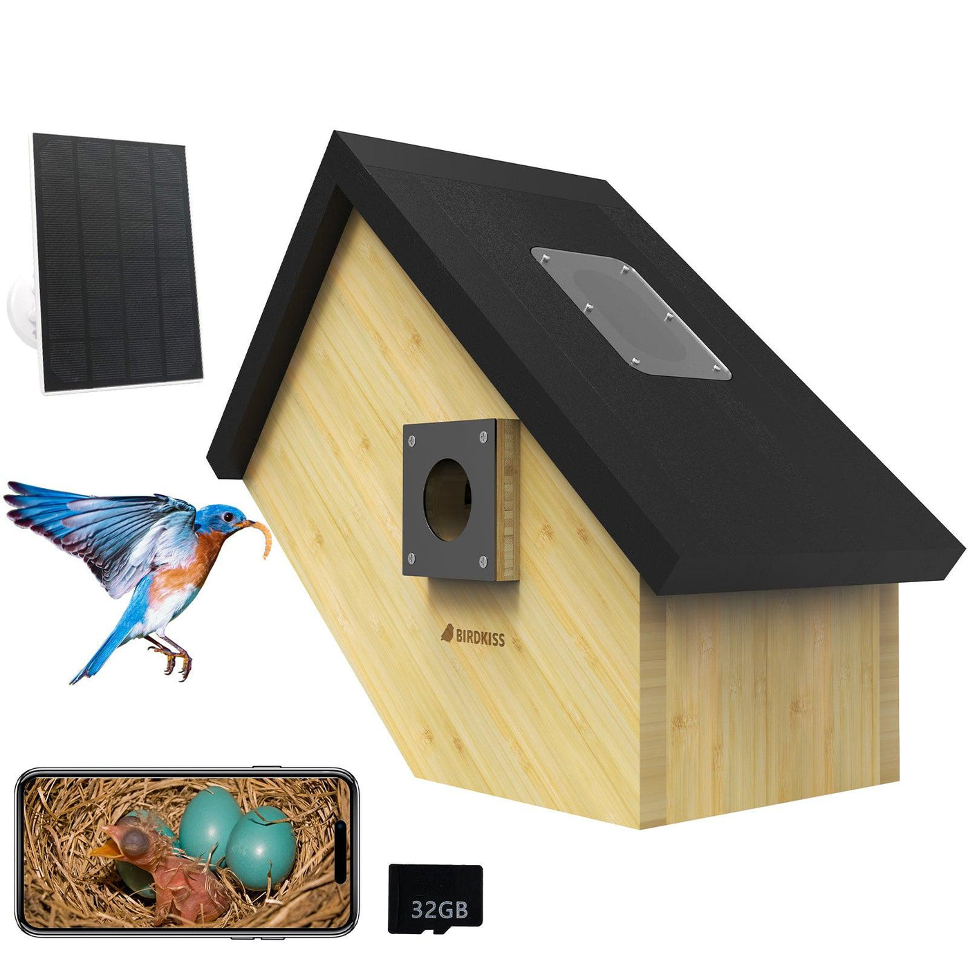 Birdkiss Official Site - Smart Bird House - Birds Rest, Views Blessed
