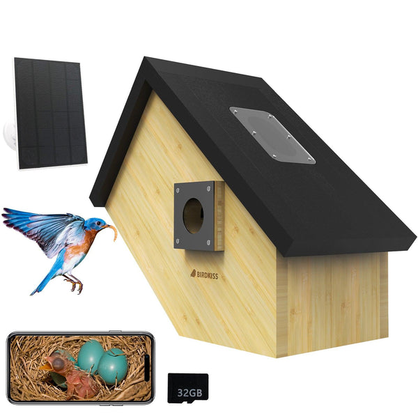 Birdkiss Smart Bird House - Observe Birds Nesting in HD, Solar Powered