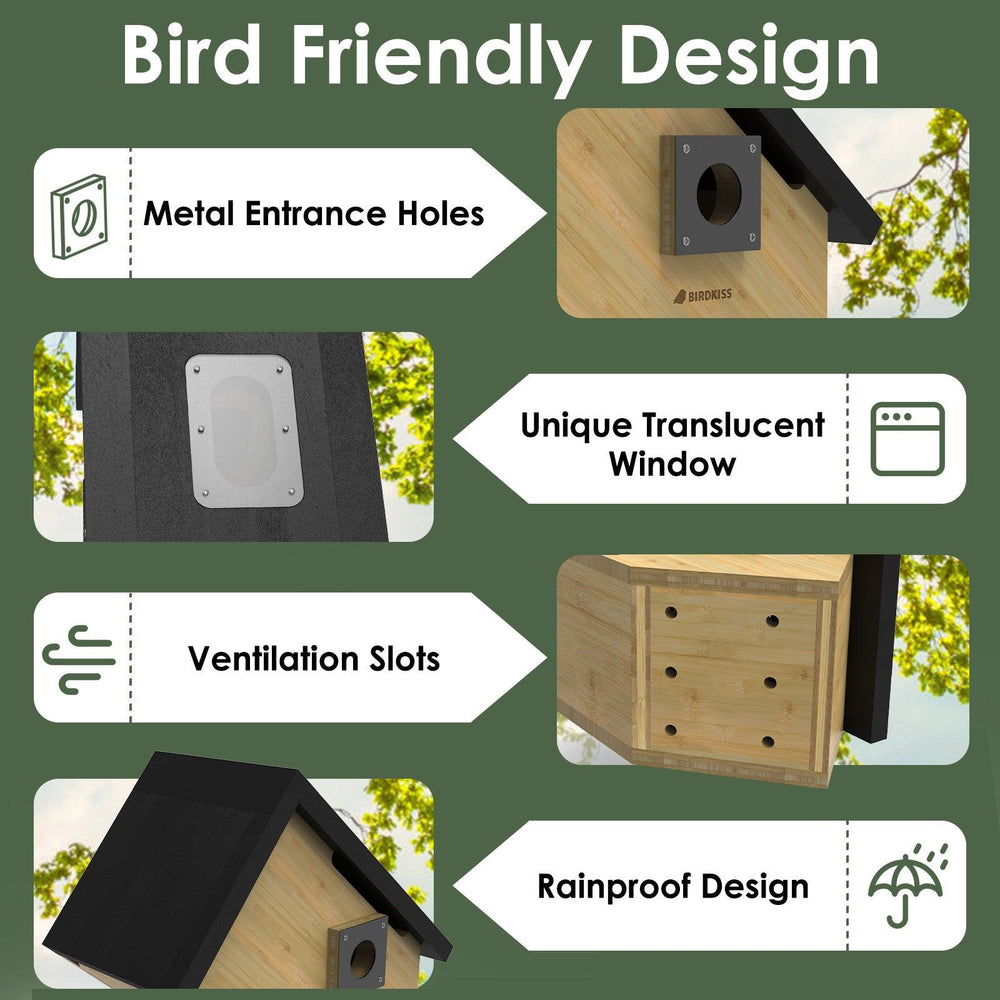 Birdkiss Smart Bird House - Observe Birds Nesting in HD, Solar Powered
